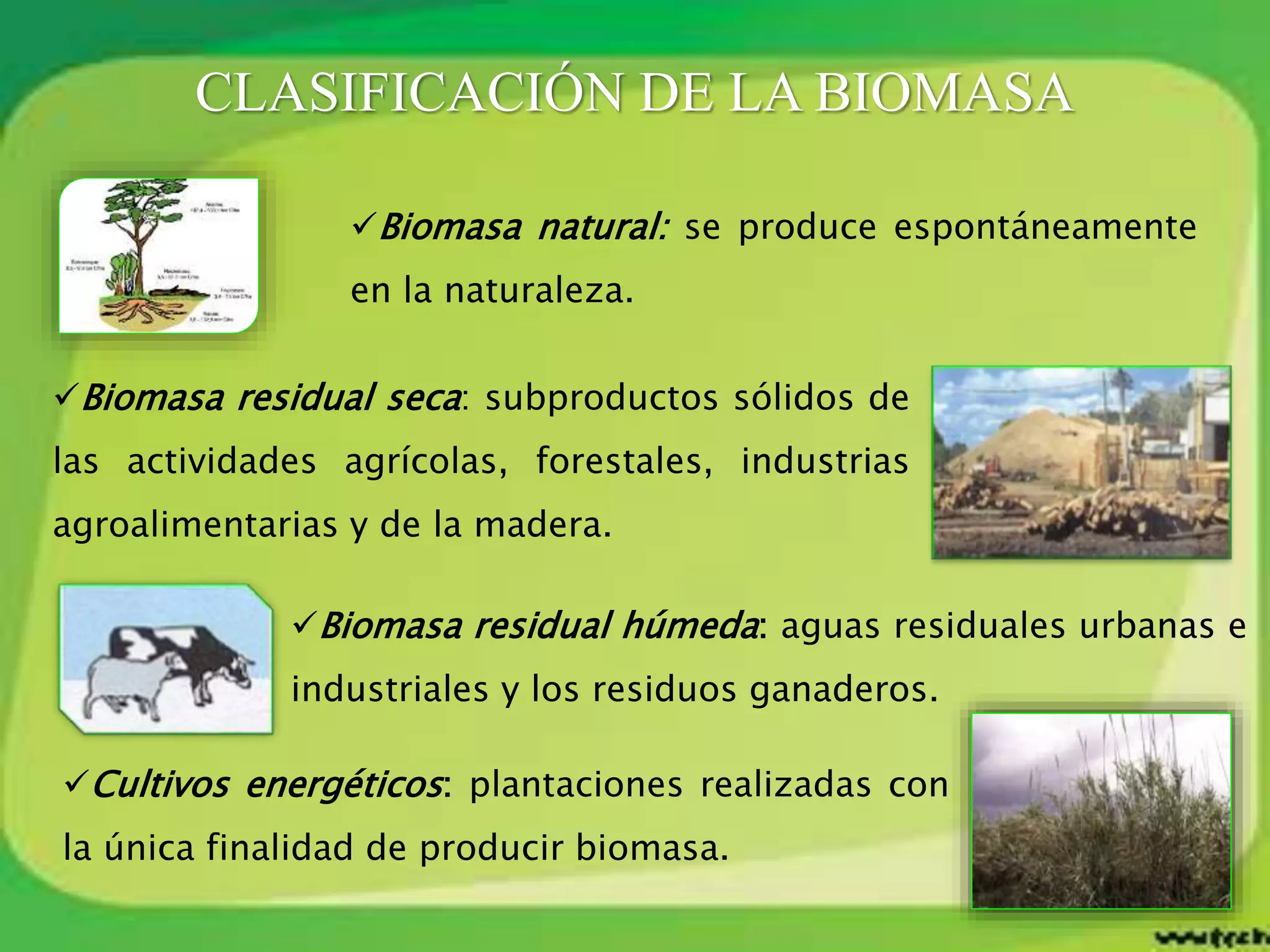 BIOMASA 1.pptx