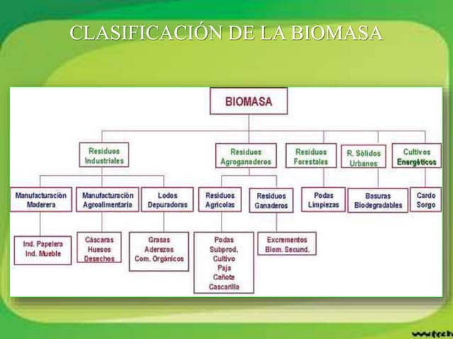 BIOMASA 1.pptx
