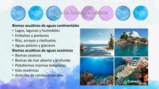 Biomas acuáticos | PPTX