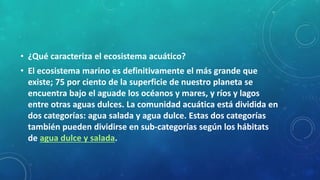Biomas acuáticos | PPTX