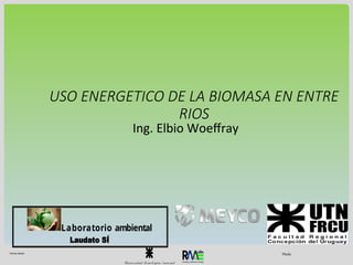 USO ENERGÉTICO BIOMASA EN ENTRE RIOS.ppt