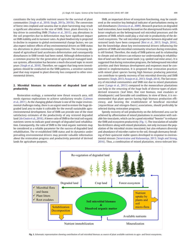Biomasa microbiana del suelo un factor clave del suelo.pdf