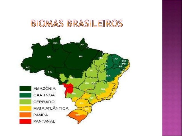 Biomas brasileiros