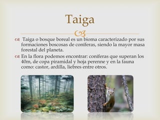 Biomas corregido (3) | PPTX