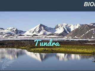 Biomas de américa : tundra. | PPT