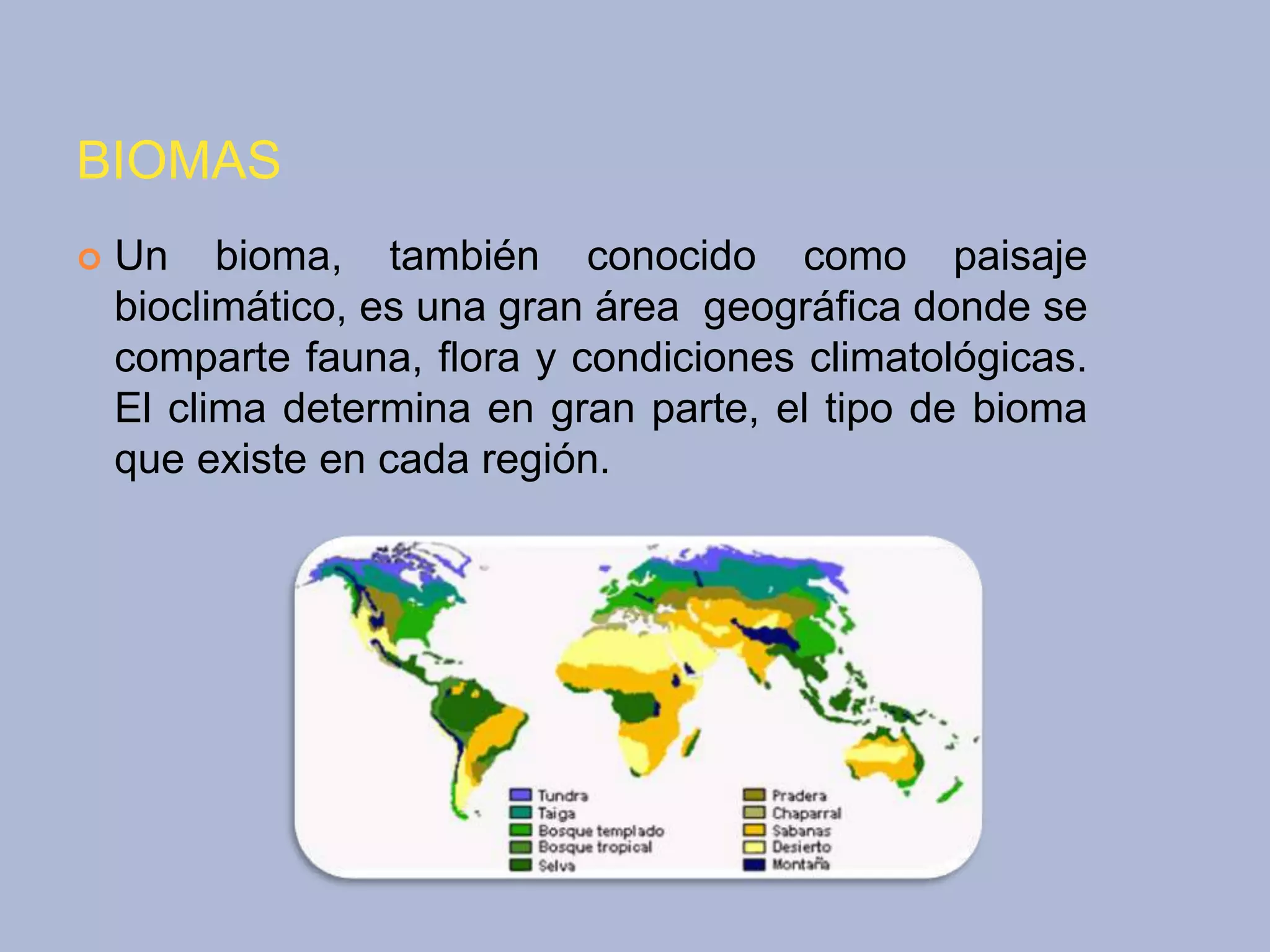 Biomas del Mundo | PPT | Descarga Gratuita