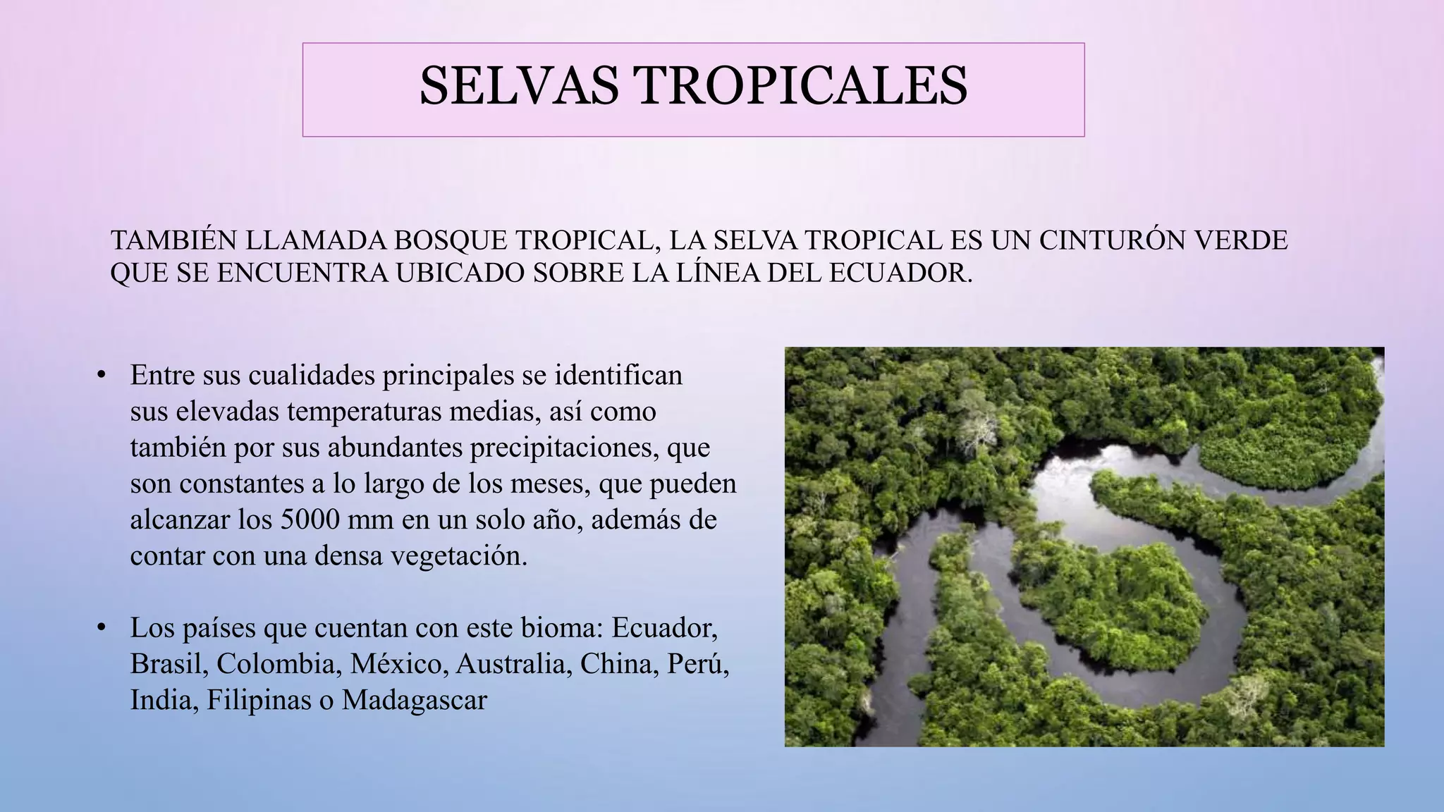 Principales Biomas Del Mundo Bioma Acutico Bosque ALBANDA: GEOGRAFÍA