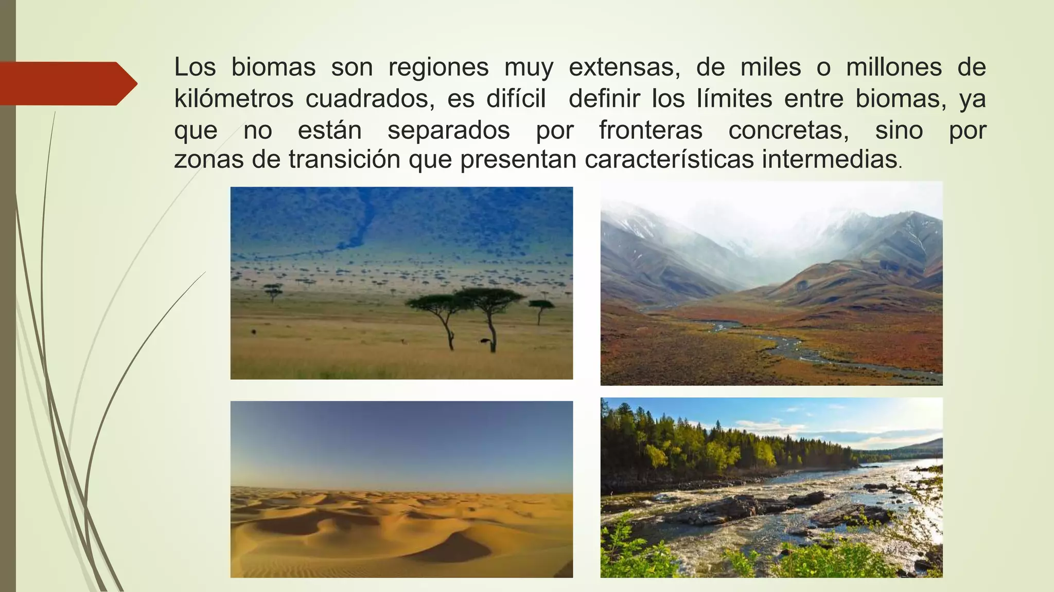Biomas del mundo | PPTX