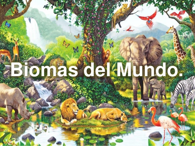Biomas del mundo