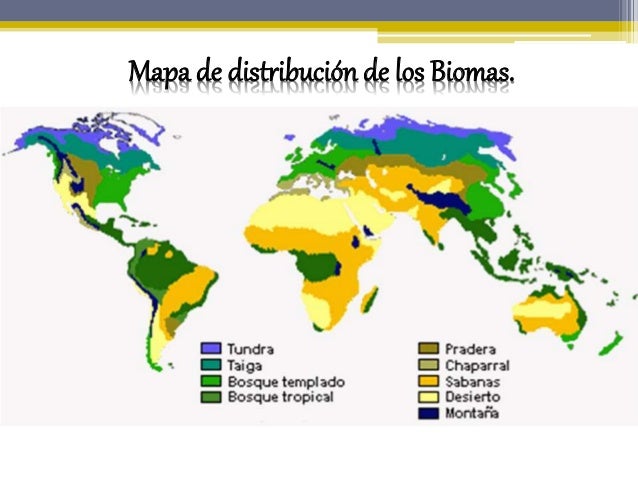 Biomas del mundo
