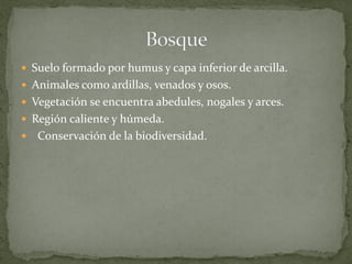 Biomas de Mexico | PDF