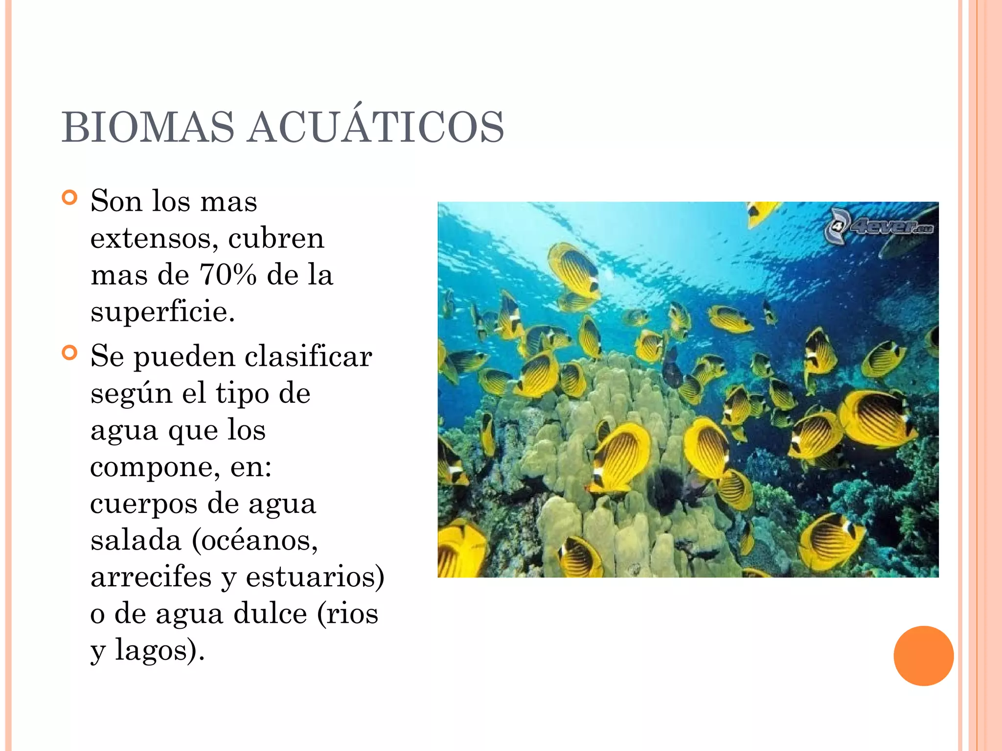 Biomas de México | PPT