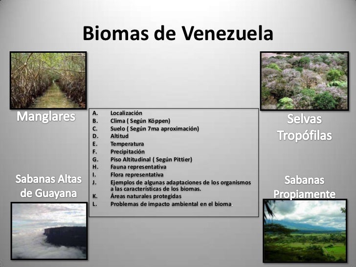 Biomas Terrestres Y Acuaticos De Venezuela - Sitios Online Para Adultos ...