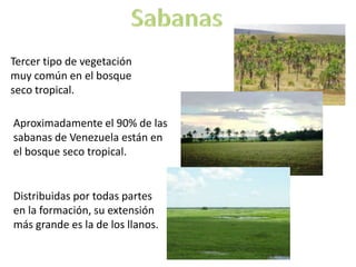 Biomas de venezuela | PPTX