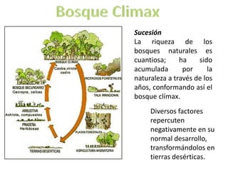 Biomas de venezuela | PPTX