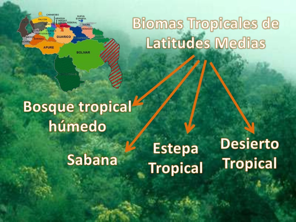 Biomas de venezuela