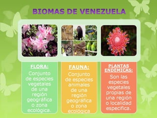 Biomas de venezuela | PPT