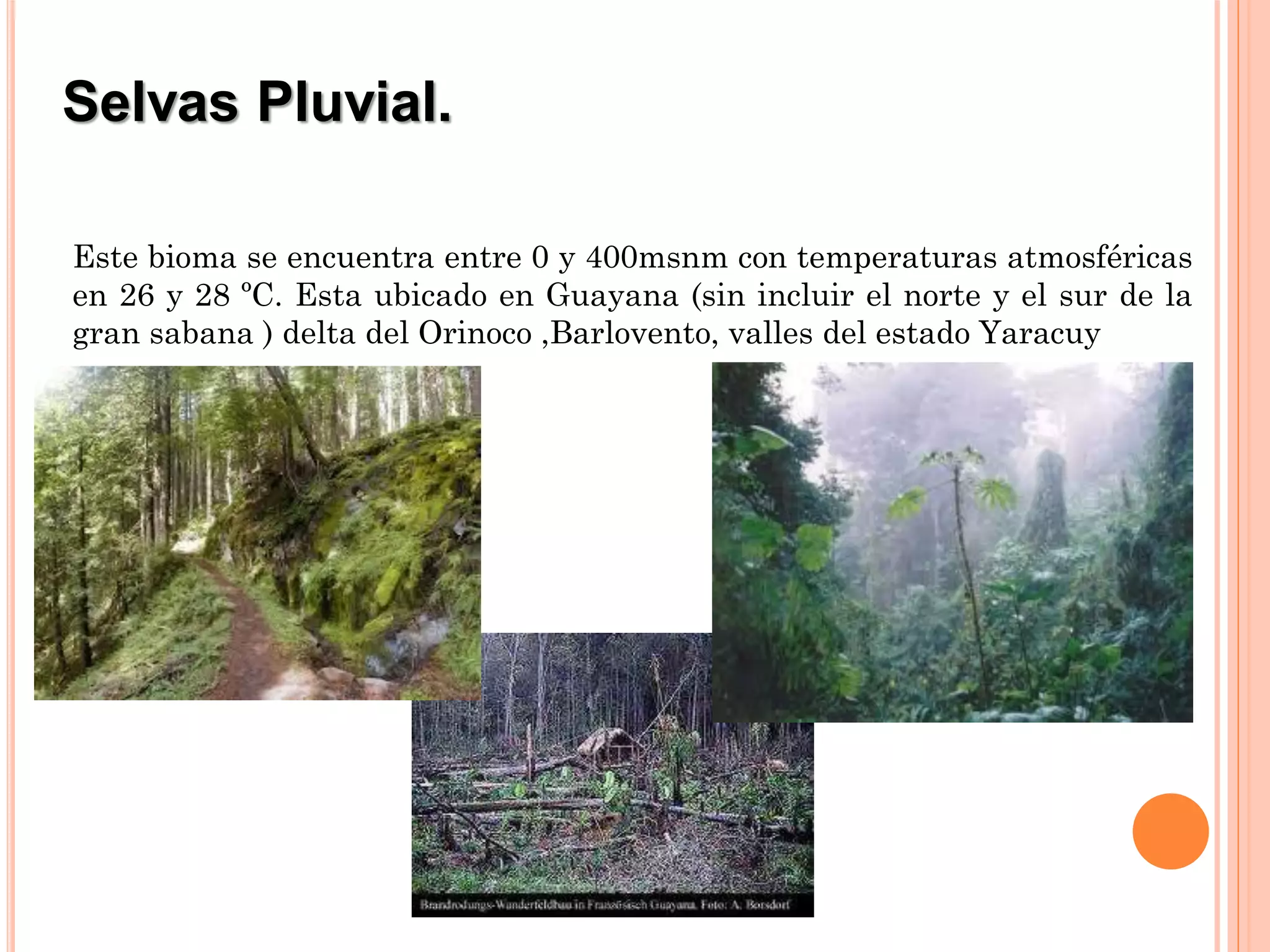 Biomas de venezuela | PDF