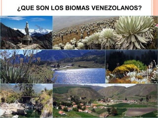 Biomas de venezuela | PDF