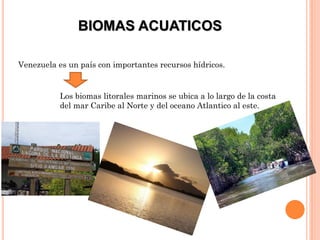 Biomas de venezuela | PDF