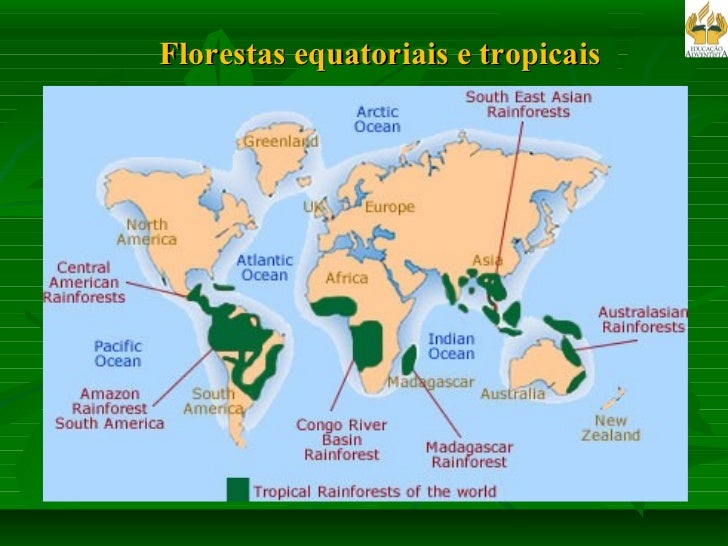 Biomas do mundo