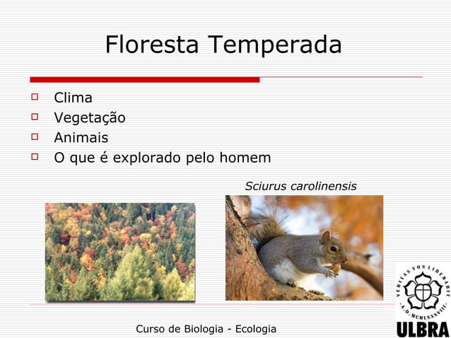 Biomas do mundo | PPT