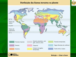 Biomas do mundo | PPT