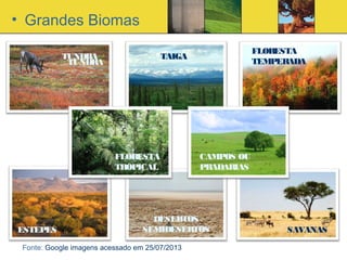 Biomas do mundo | PPT