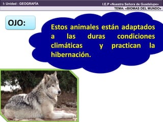 Biomas en el mundo | PPTX