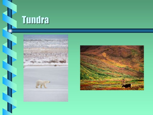 Biomas mundiais | PPT