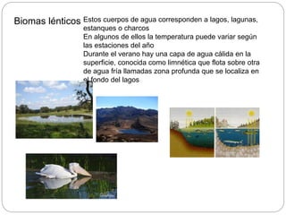 Biomas, recursos naturales y desarrollos sustentables | PPTX