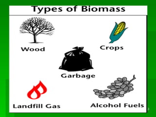 Biomass | PPT