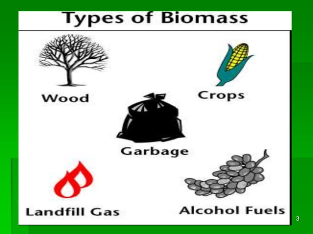 introduction of biomass and source of biomass | PPT | Chemistry | Science