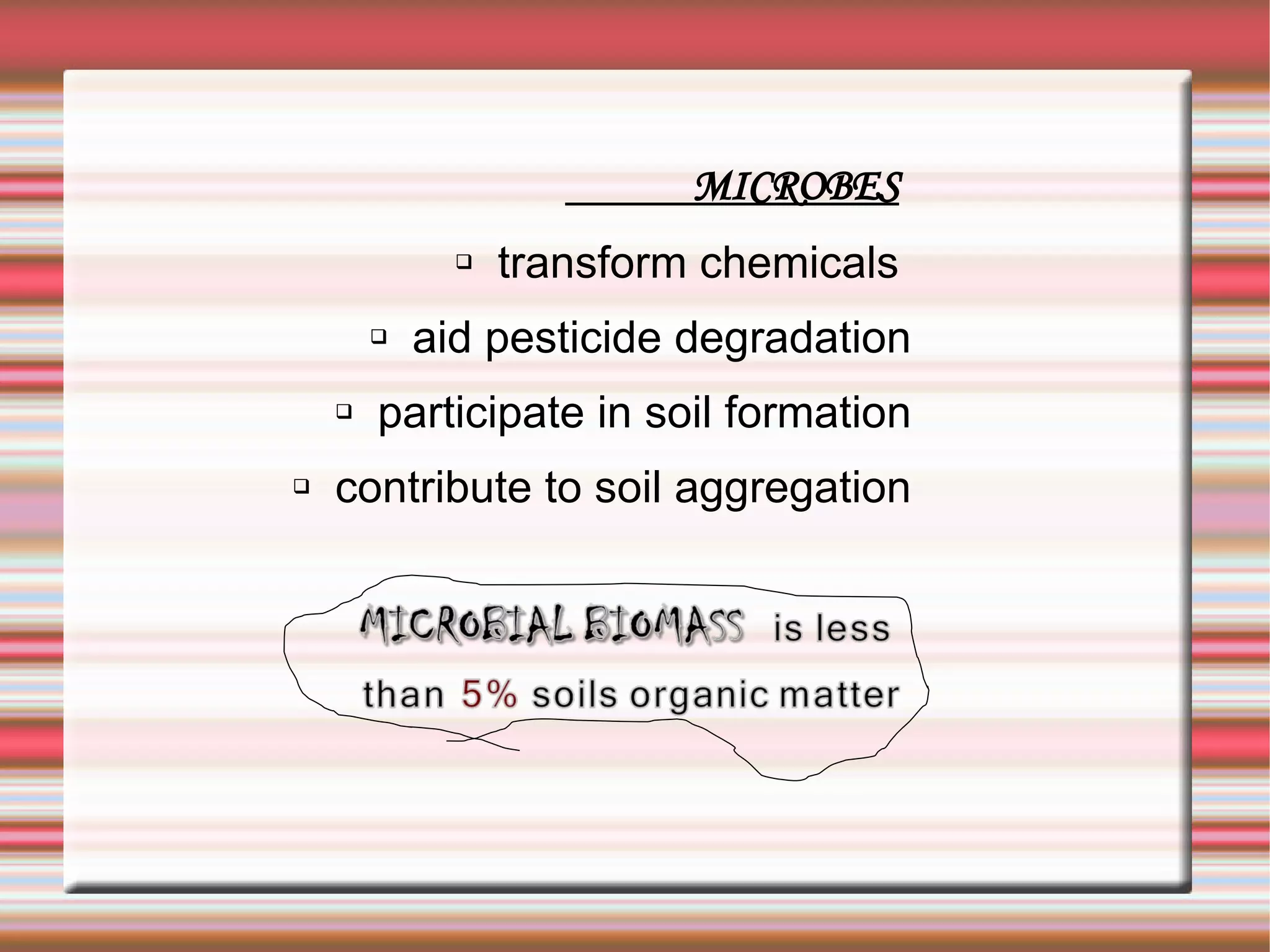 Microbial Biomass in Soil | PPT