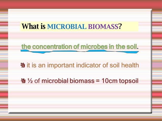 Microbial Biomass in Soil | PPT | Gardening | Home & Garden