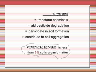 Microbial Biomass in Soil | PPT