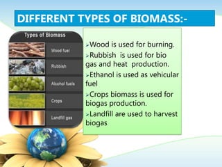 Biomass:- slide for presentatio in a detail way | PPTX | Chemistry ...