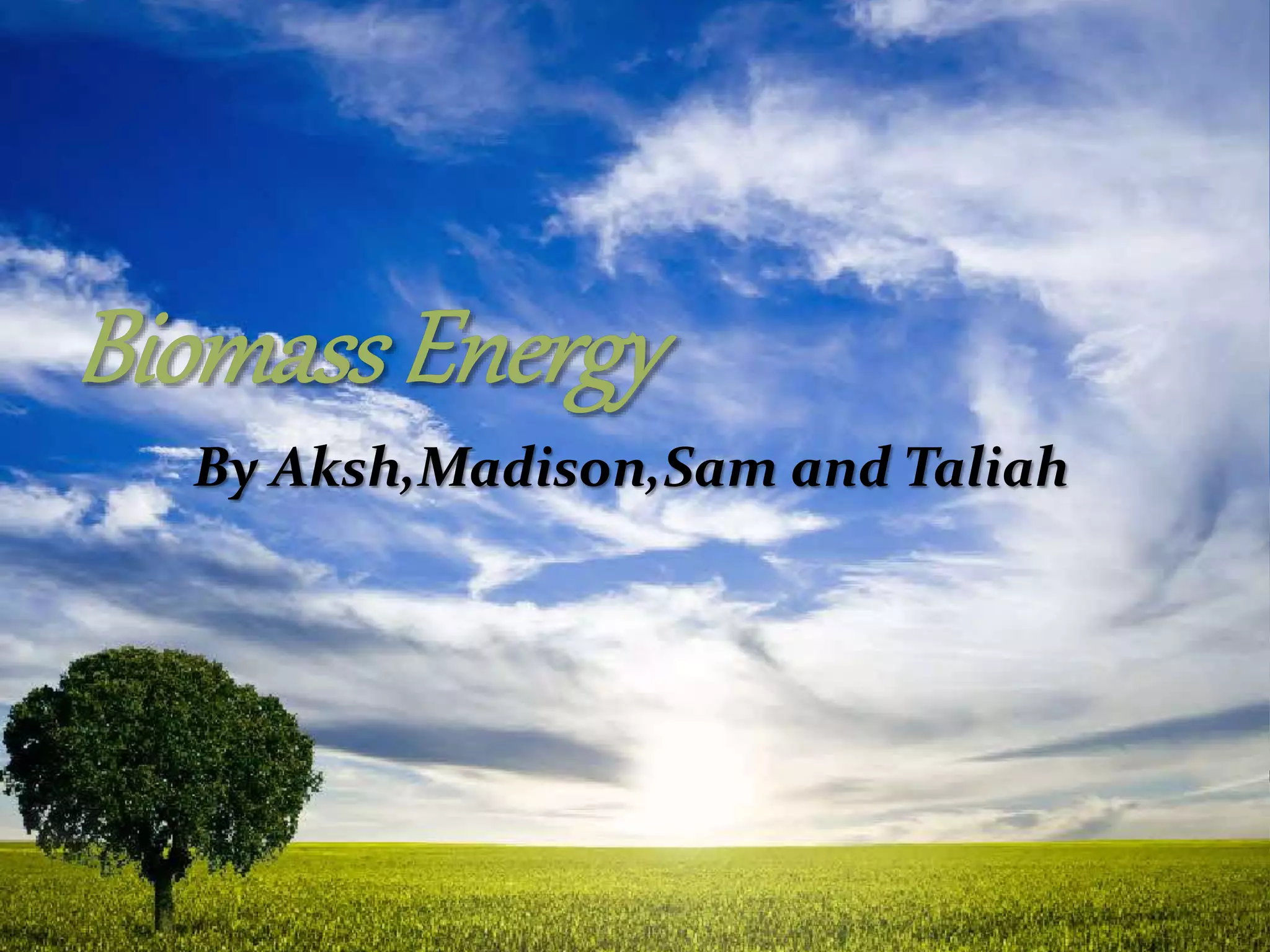 Biomass Diagrams | PPTX