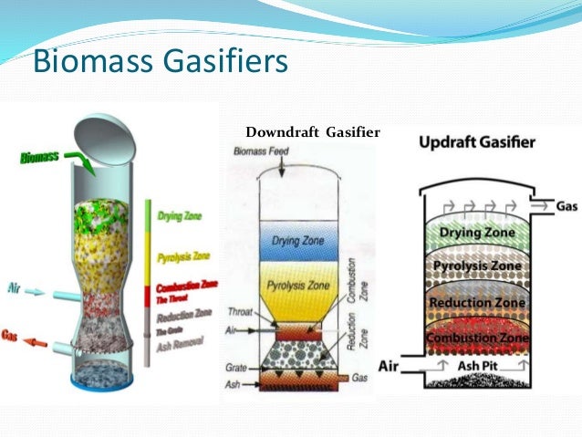 Composition Of Biomass Biomass Energy