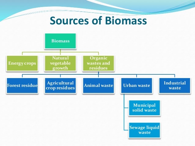 Biomass