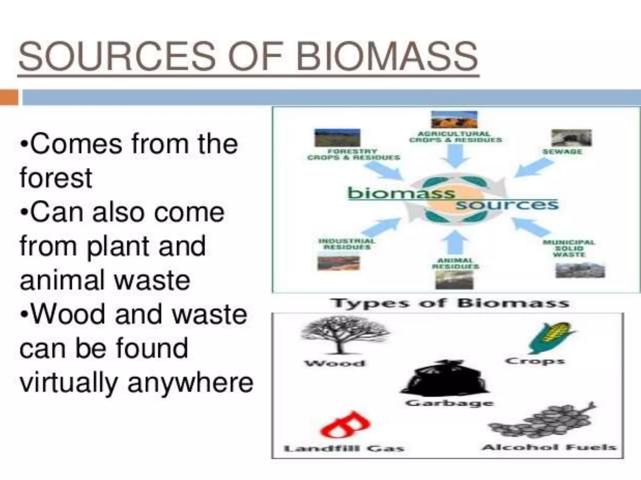 Biomass | PPTX