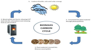 Biomass | PPT