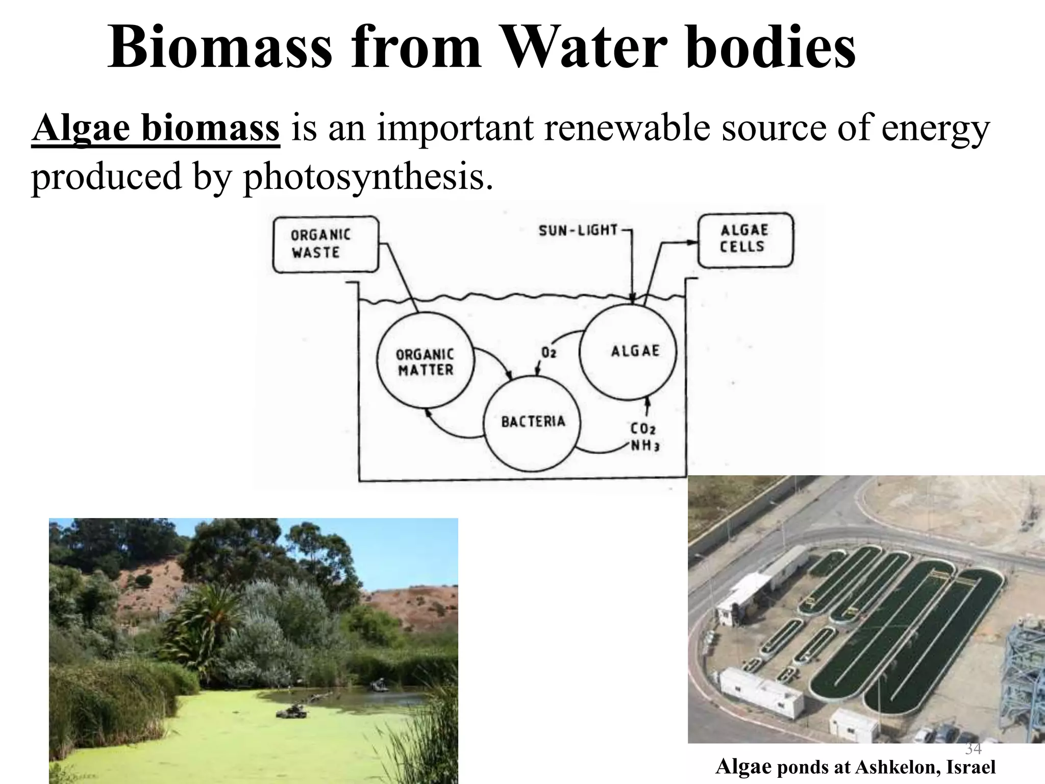 Biomass | PPTX