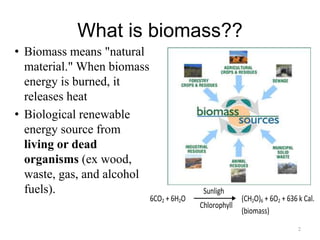 Biomass | PPTX