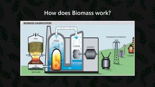 Biomass | PPT