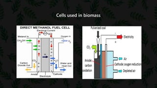 Biomass | PPT