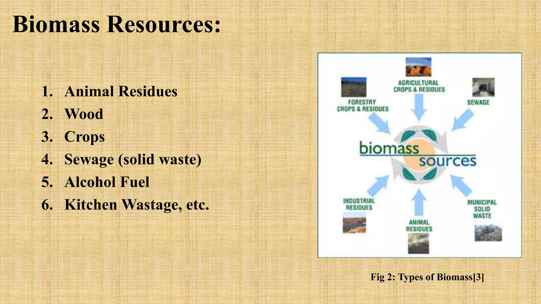 Biomass | PPT
