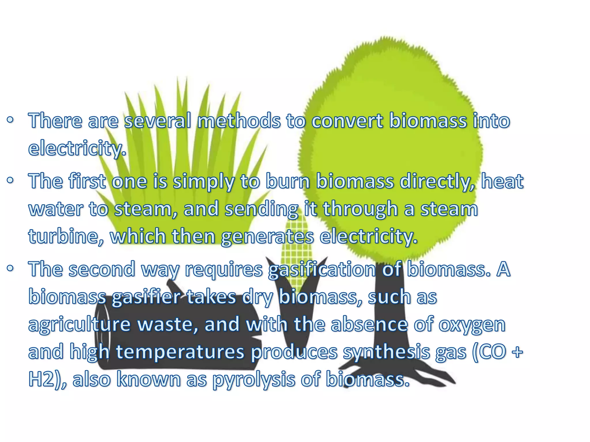 Biomass convert in to electricity by vimal priya subramanian | PPTX