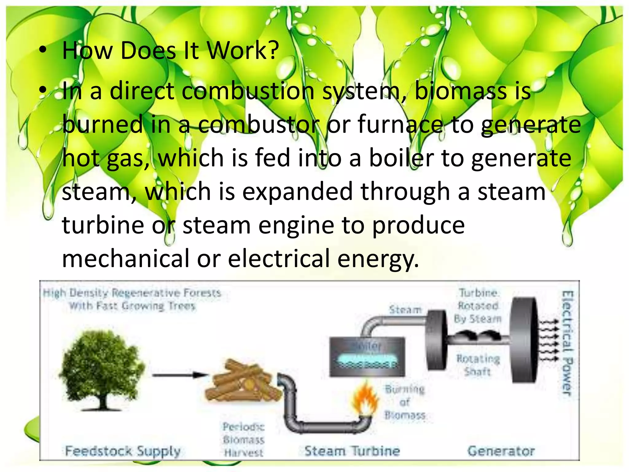 Biomass convert in to electricity by vimal priya subramanian | PPTX