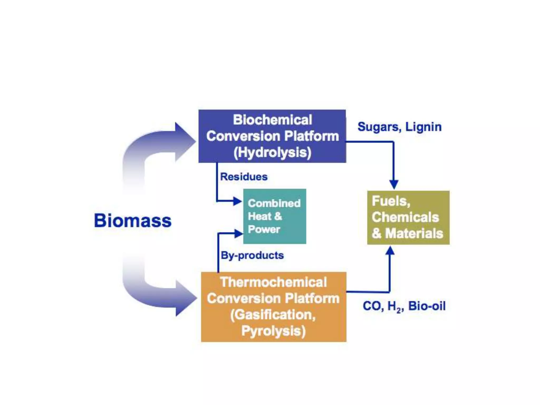 Biomass convert in to electricity by vimal priya subramanian | PPTX